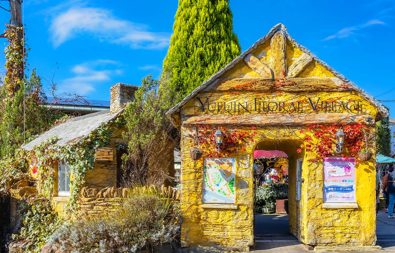 Yufuin & Umi/Kamado Jigoku & Kyushu Natural Animal Park & Dazaifu ...