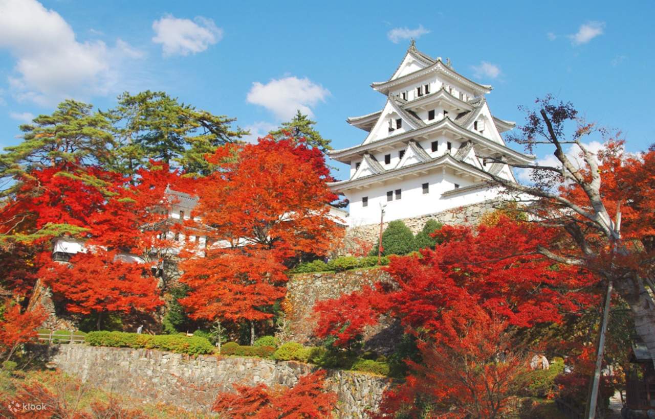 Excursión de un día a Gujo Hachiman, Takayama y la aldea de Shirakawa ...