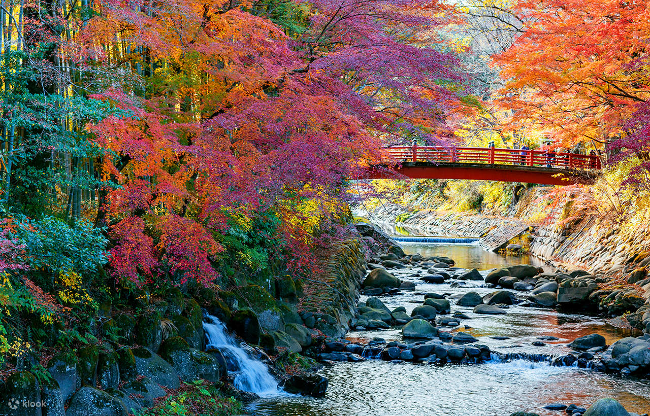 Izu & Atami: Shuzenji Onsen Fall Foliage Viewing Day Tour (Depart from ...