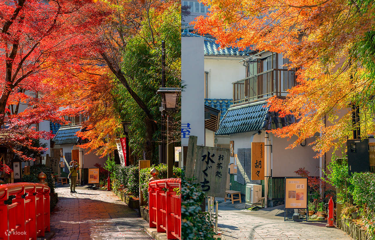 Atami & Izu: Kinomiya Shrine/Atami Baien Plum Garden & Izu Shuzenji ...