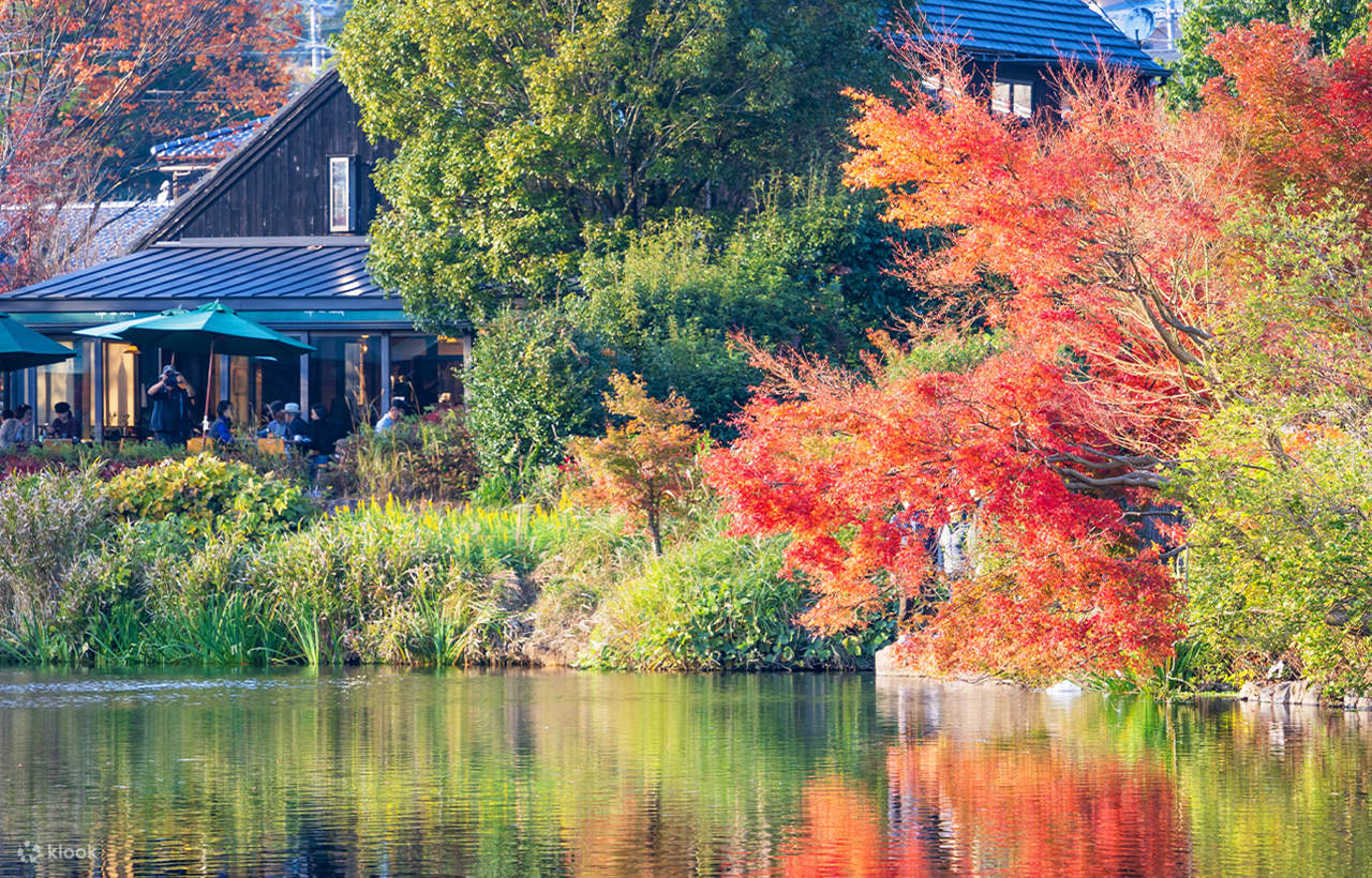 Kyushu Natural Zoo & Yufuin & Kinrin Lake & Sea Hell / Kitchen Hell Day ...