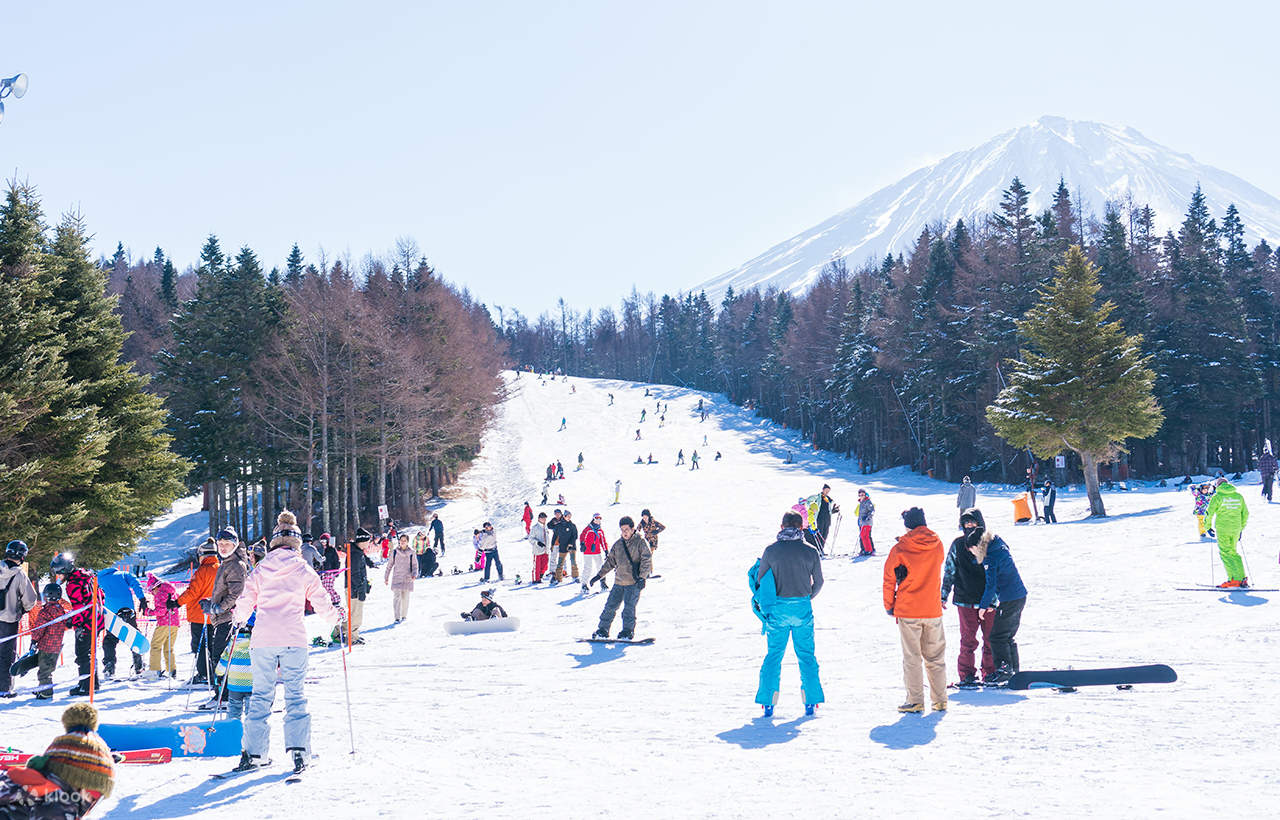 Mt. Fuji Yeti Snow Resort Skiing/Snow Fun & Izu Fruit Park Strawberry ...