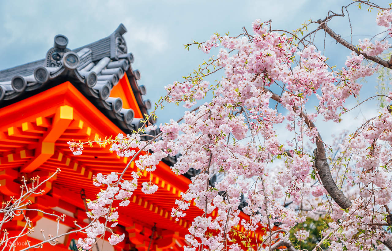 One-day tour to Kiyomizudera Temple, Nijozaka, Kongoji Temple, Yasaka ...