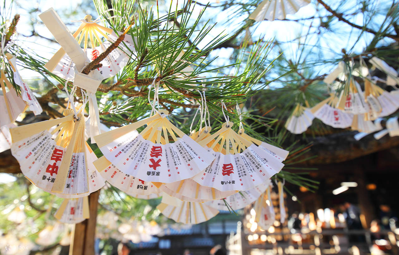 Sea of Kyoto & Amanohashidate View Land & Chion-ji Temple/Monju-do Hall & Ine Funaya (Boat ...