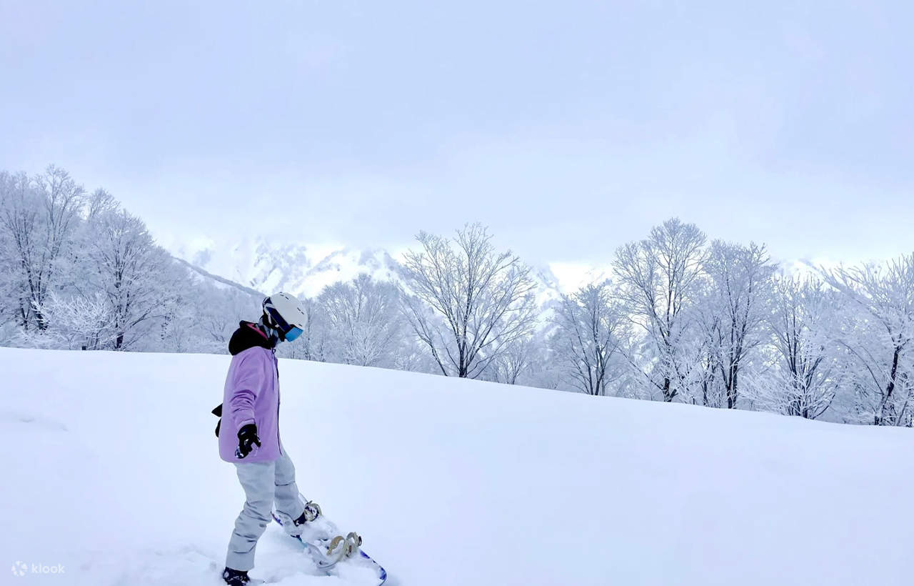 Hakuba Goryu Ski Resort All-Day Skiing & Northern Alps Powder Snow ...