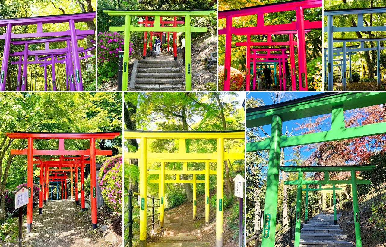 Tochigi Wisteria Festival, Ashikaga Orihime Shrine Seven-Colored Torii ...