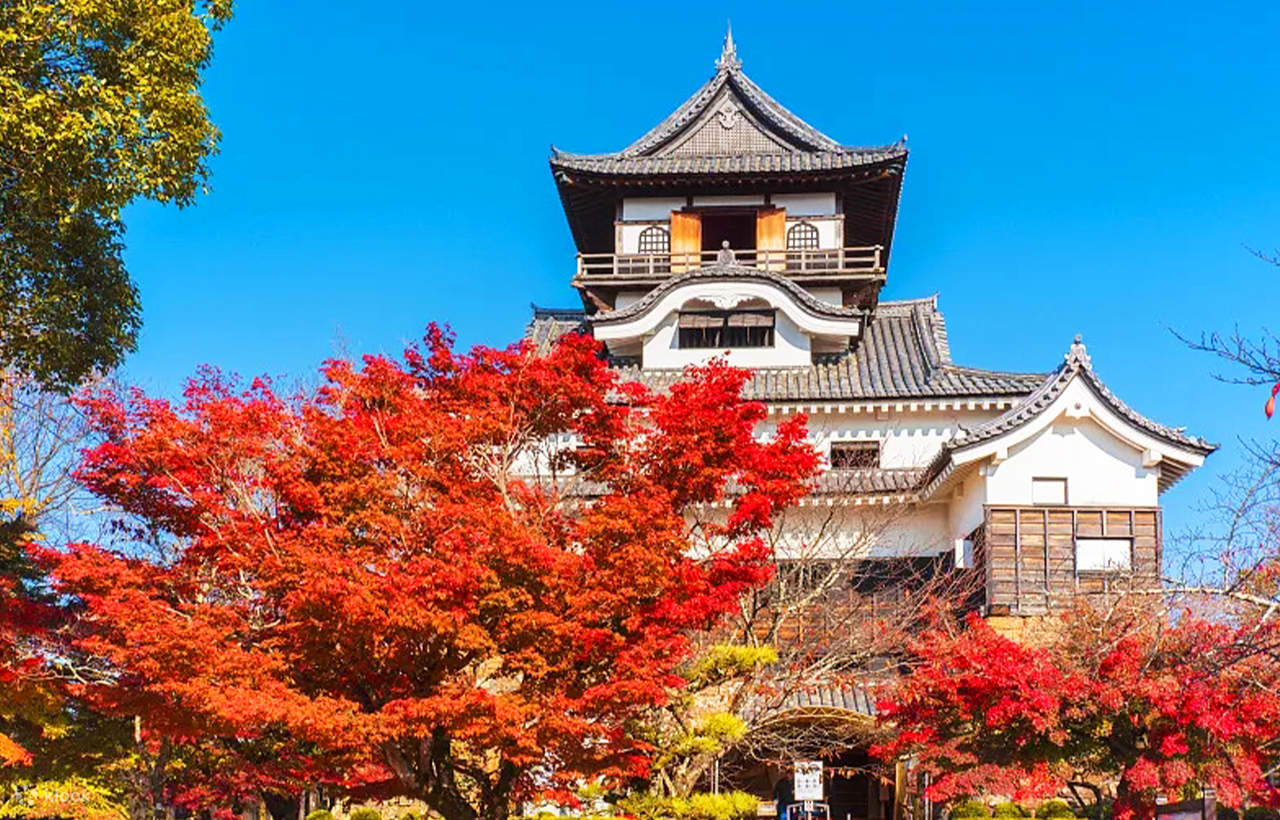 Magome Inn, Ena Gorge Observatory, and Inuyama Castle Day Trip (From ...