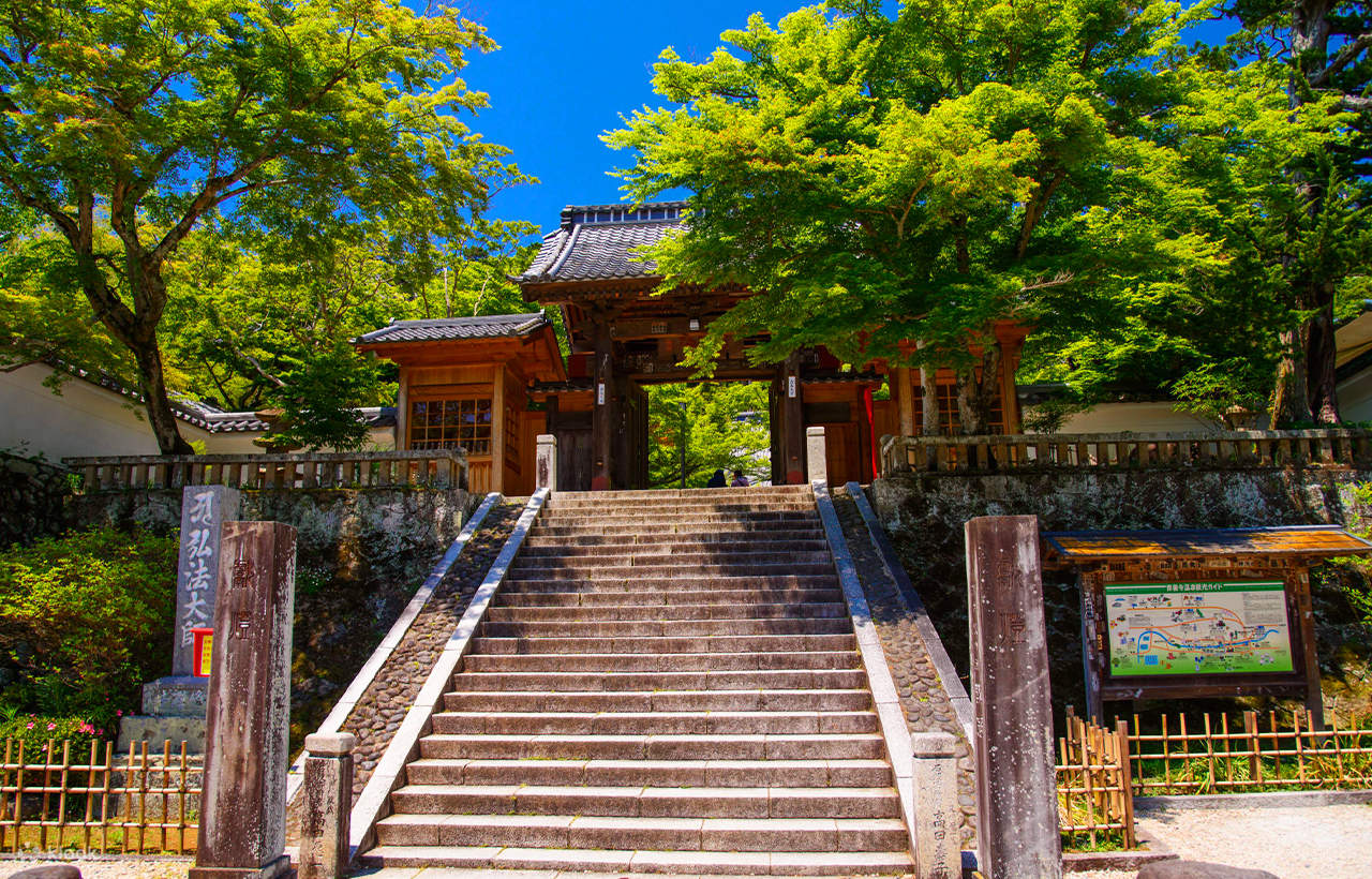 Izu Panoramic View Selebriti Internet Omuroyama Izu Animal Kingdom ...