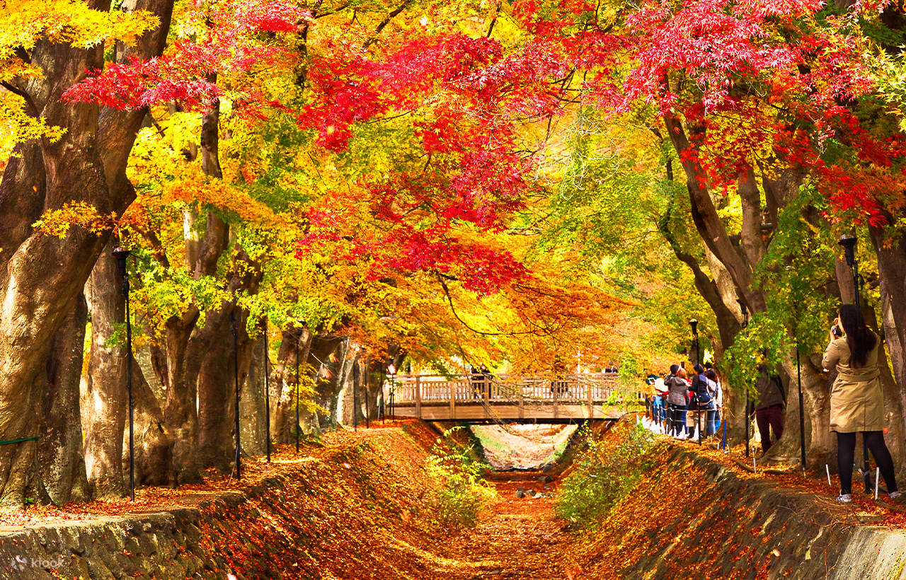 Mt. Fuji Arakurayama Sengen Park | Hikawa Clock Shop | Oshino Ninja ...