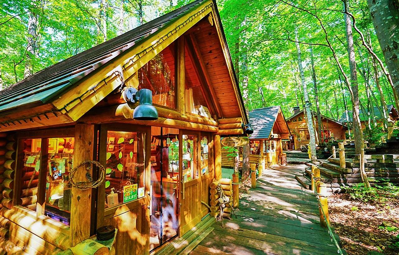 Asahiyama Zoo, Blue Pond, Shirahige Falls, and Forest Spirit Terrace ...