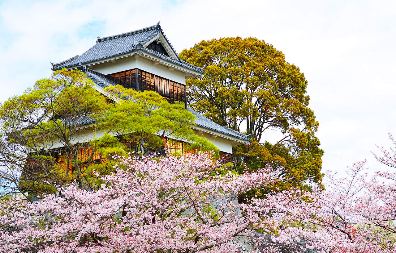 Aso Mt., Kusasenri, Suizenji Jojuen Garden, and Kumamoto Castle Day ...