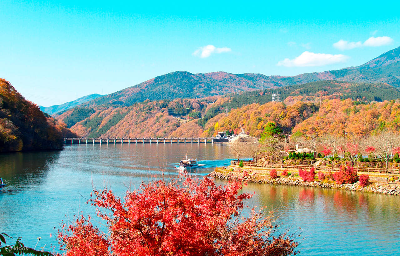 Magome Inn, Ena Gorge Observatory, and Inuyama Castle Day Trip (From ...