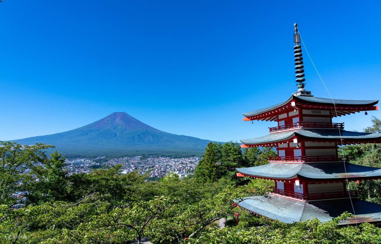 Mount Fuji Instagram-worthy train, Yamanashi seasonal fruit picking ...