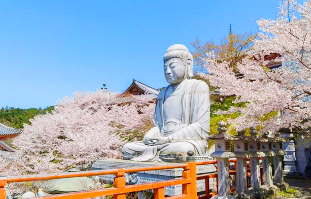 Tur sehari melihat bunga sakura di Gunung Wakakusa & Taman Nara ...