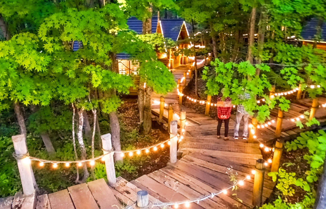 Hokkaido Zoo A Line Biei Aoike Elf Terrace One-Day Tour - Klook India