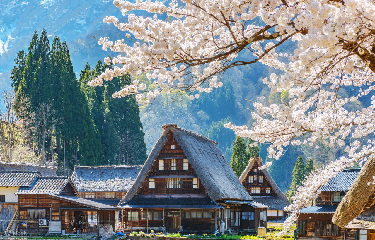 Nagoya Gujo Hachiman & Shirakawa-go Gassho Village & Hida Takayama Day ...