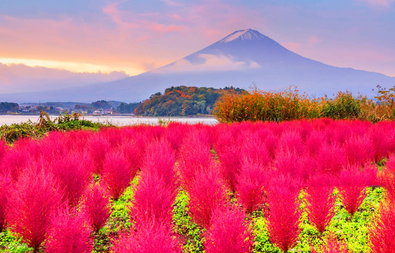 Mt. Fuji Family Horse Farm (Tickets Included) & Shiraito-no-Taki Day ...