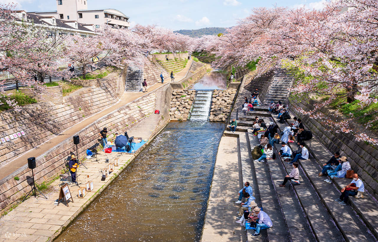 Nara Park & Todai-ji Temple & Kasuga Taisha Shrine & Uji & Byodo-in ...
