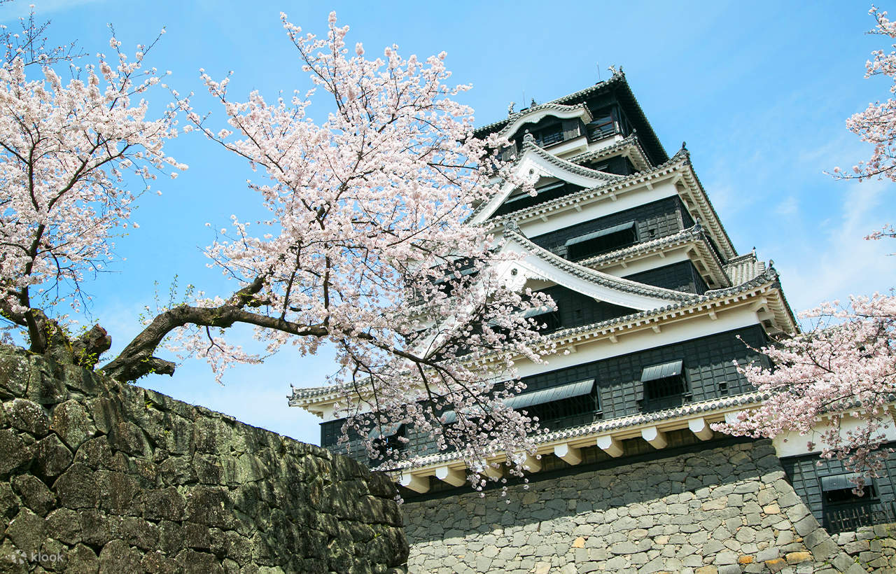 Aso Mt., Kusasenri, Suizenji Jojuen Garden, and Kumamoto Castle Day ...