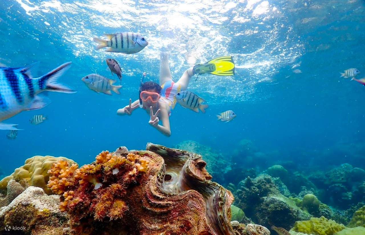 From Pattaya: Private Speedboat Nemo Island with Hotel Transfers ...