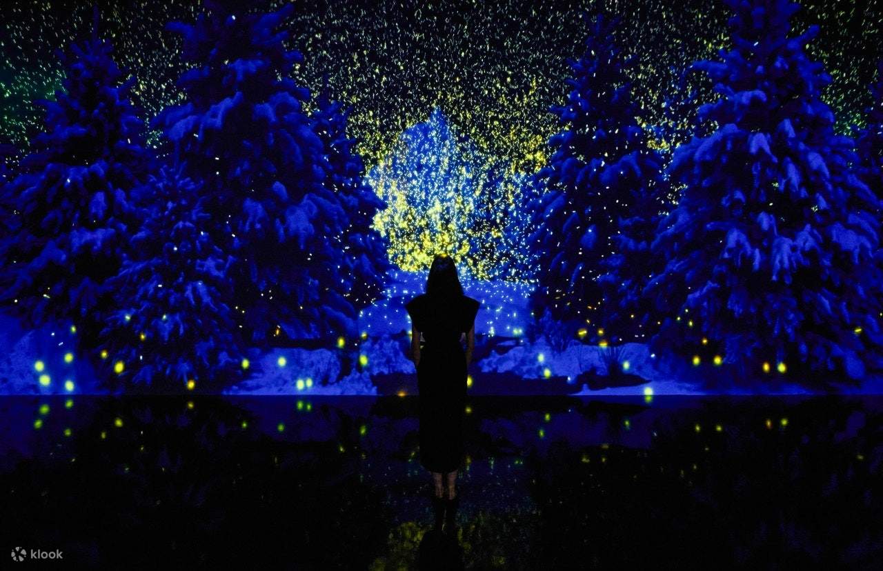 Hey Museum in Paju - Klook Australia