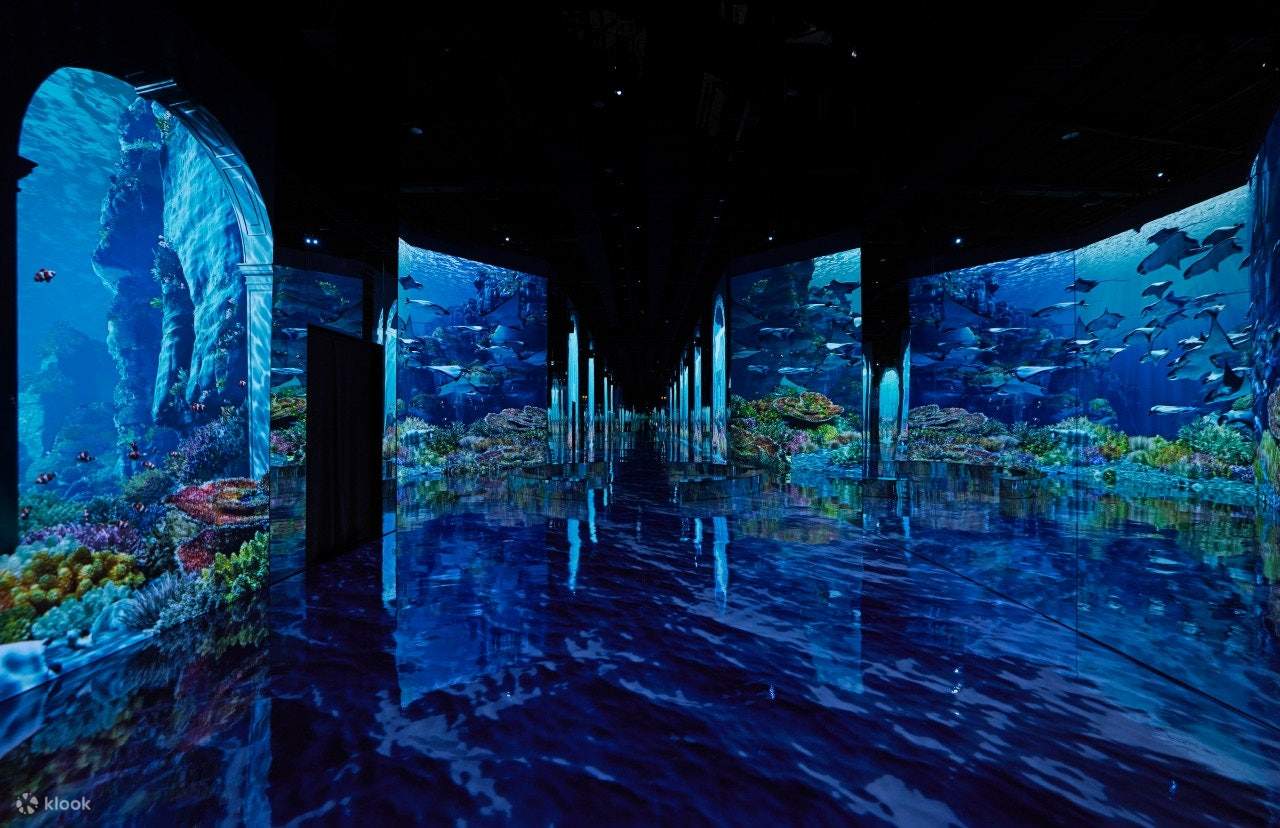 Hey Museum in Paju - Klook