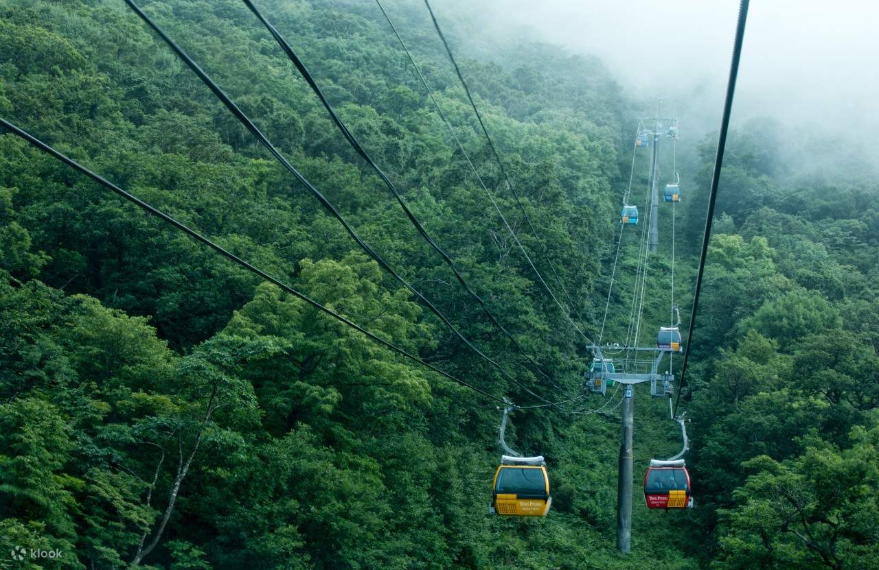 Daegwallyeong Sky Ranch/ Mountain Coaster/ Balwangsan Cable Car - Klook ...