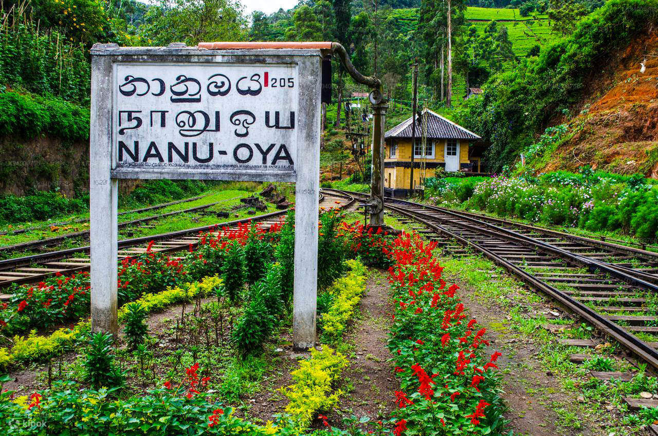 Kandy: Nuwaraeliya or Nanuoya Train Station Day Trip by Tuk Tuk - Klook