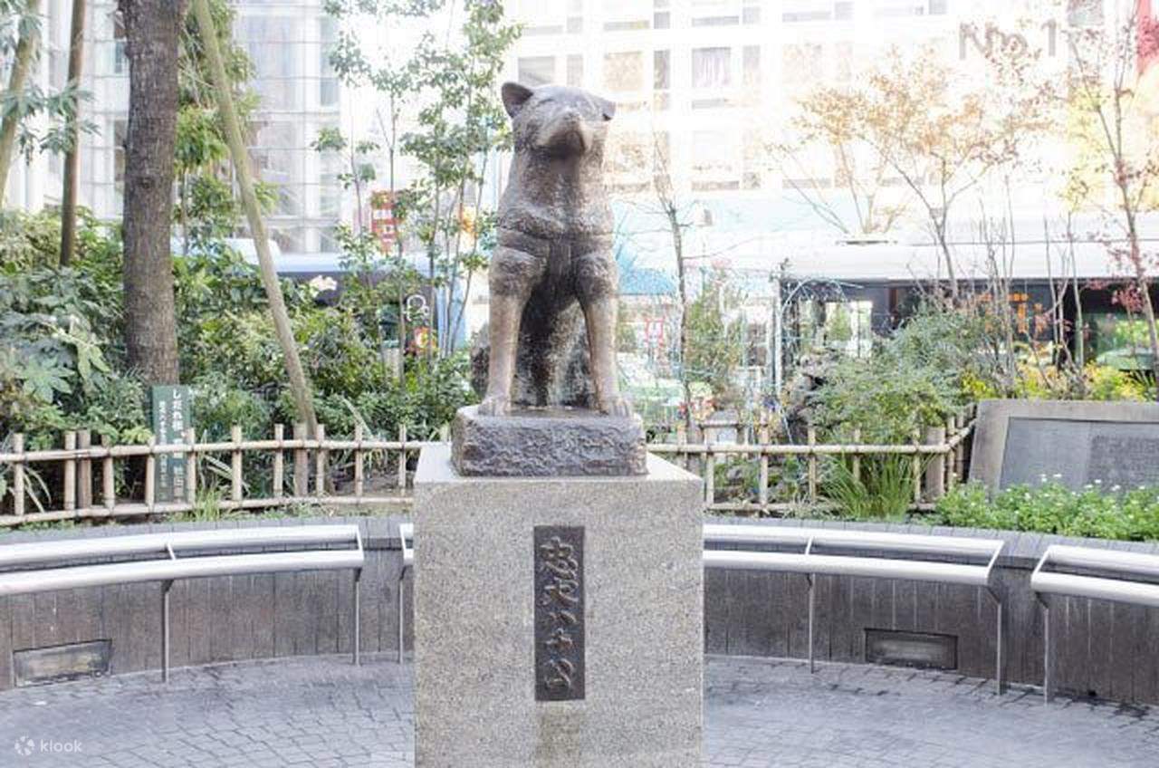 【Muslim-Friendly】Tokyo Private City Tour with Local Guide - Klook