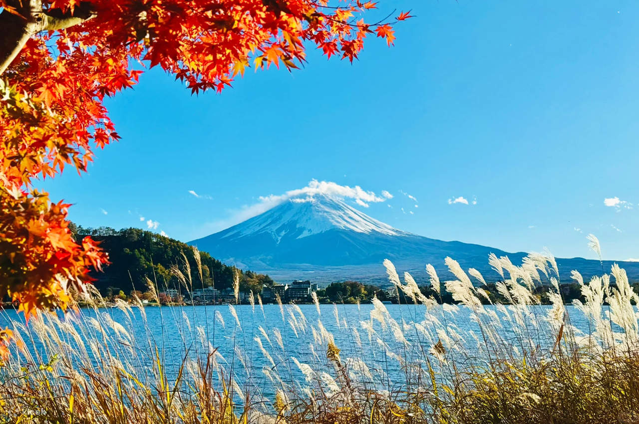 Mt. Fuji Land and Water Tour｜Yamanakako Kaba Amphibious Bus/Swan Lake ...