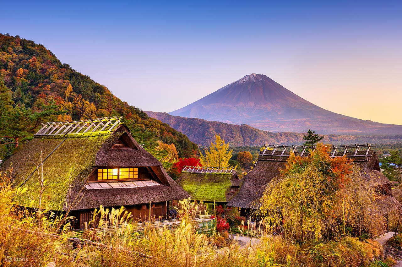 Mount Fuji FUMOTOPPARA Camping Experience 2-Day Tour｜Depart from Tokyo ...