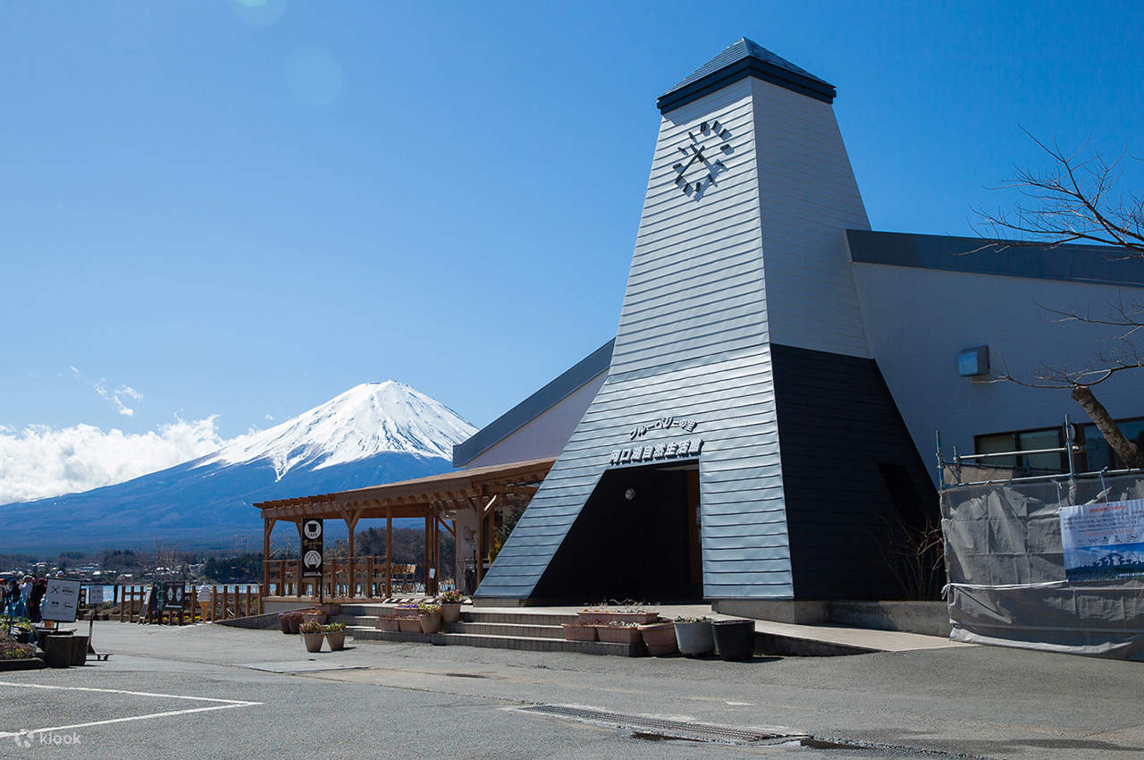 Mount Fuji FUMOTOPPARA Camping Experience 2-Day Tour｜Depart from Tokyo ...