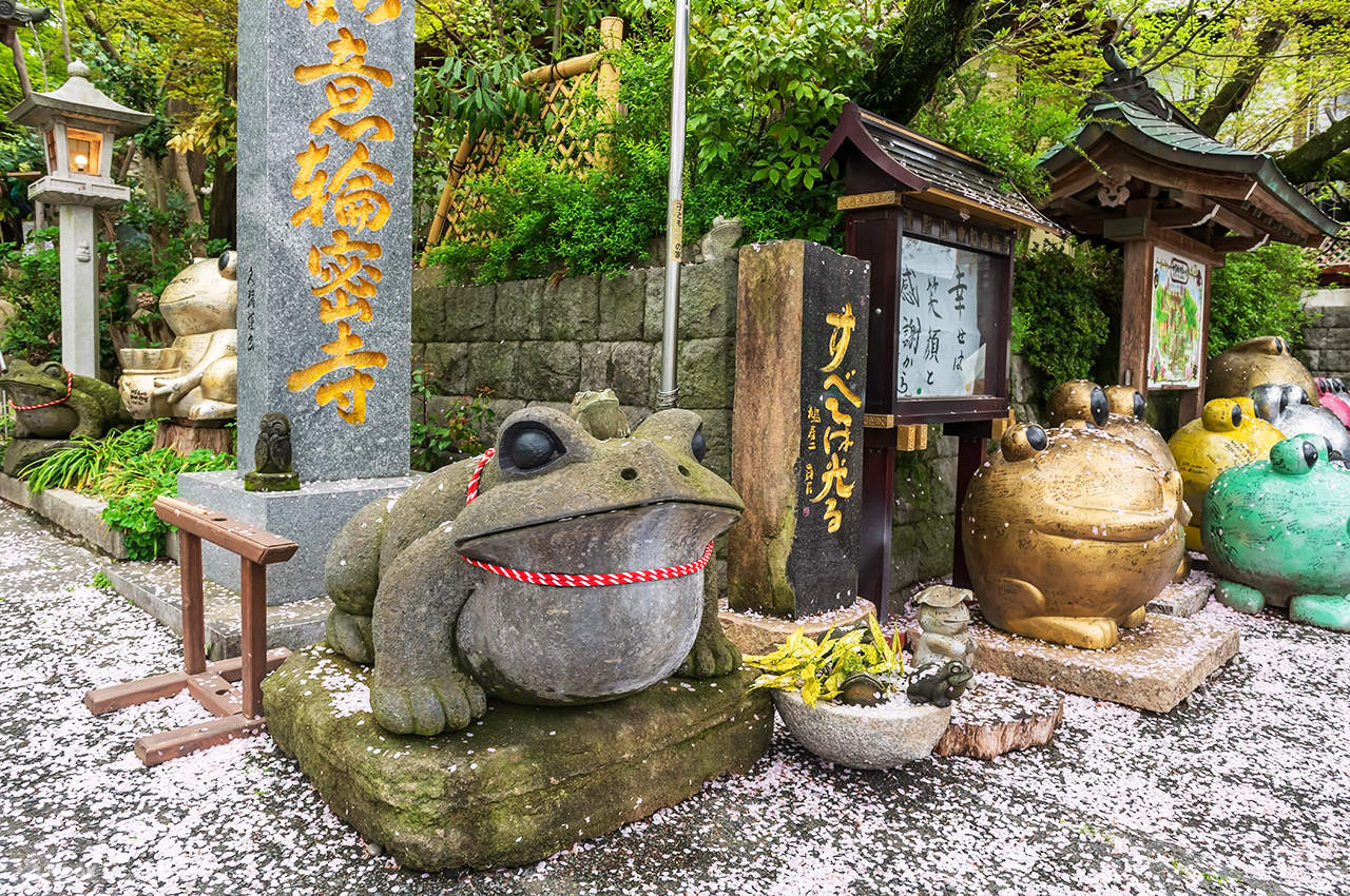 Kyushu: Dazaifu, Nyoirinji Temple, Yufuin, and Yufuin Forest Scenic ...