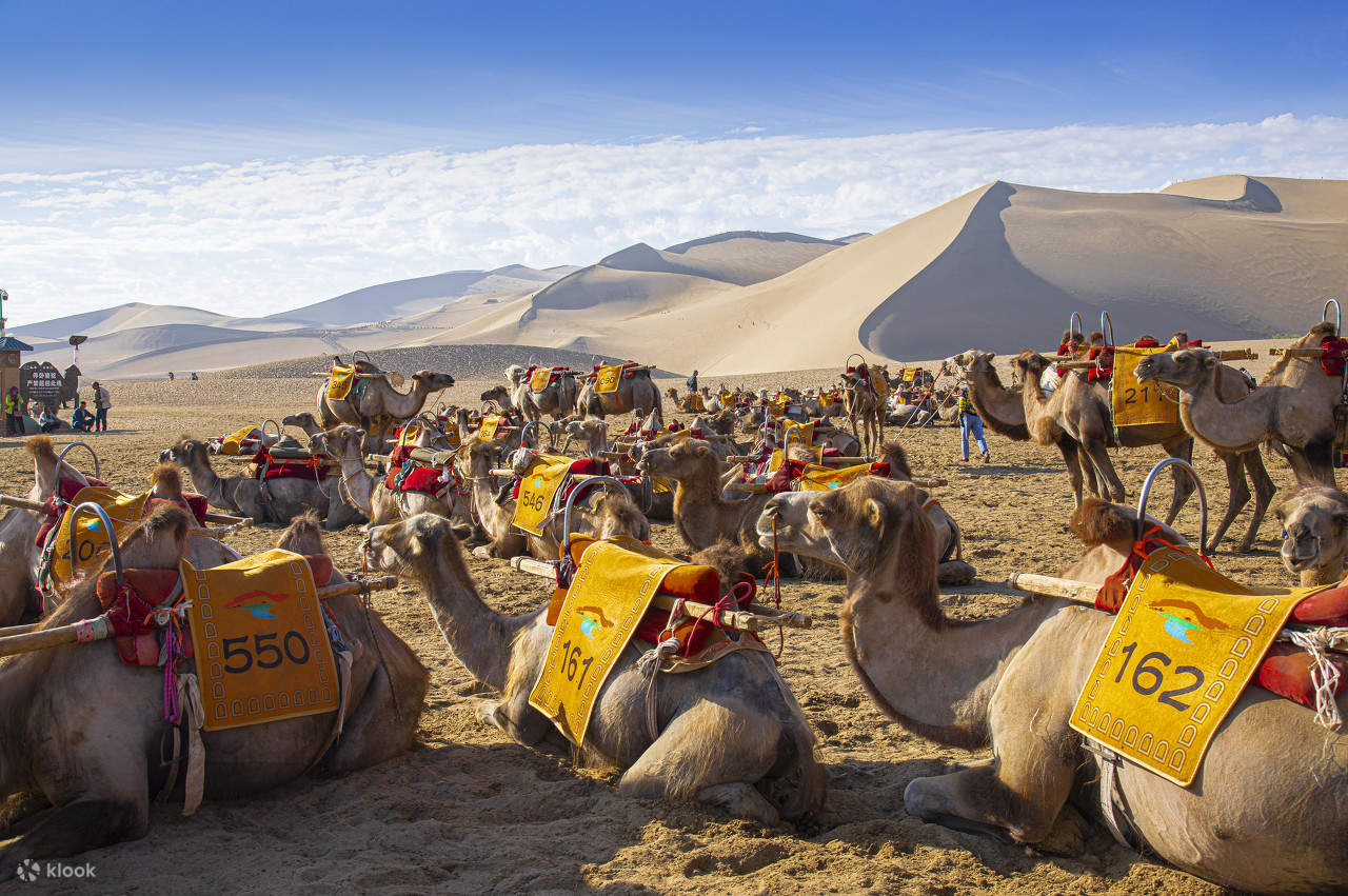 Qinghai-Gansu Grand Loop Internet Celebrity Northwest 8 Days (Water ...