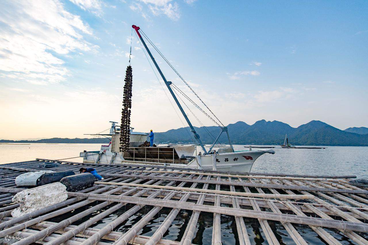 Oyster Farm Experience with Visit to Itsukushima Shrine in Hiroshima ...