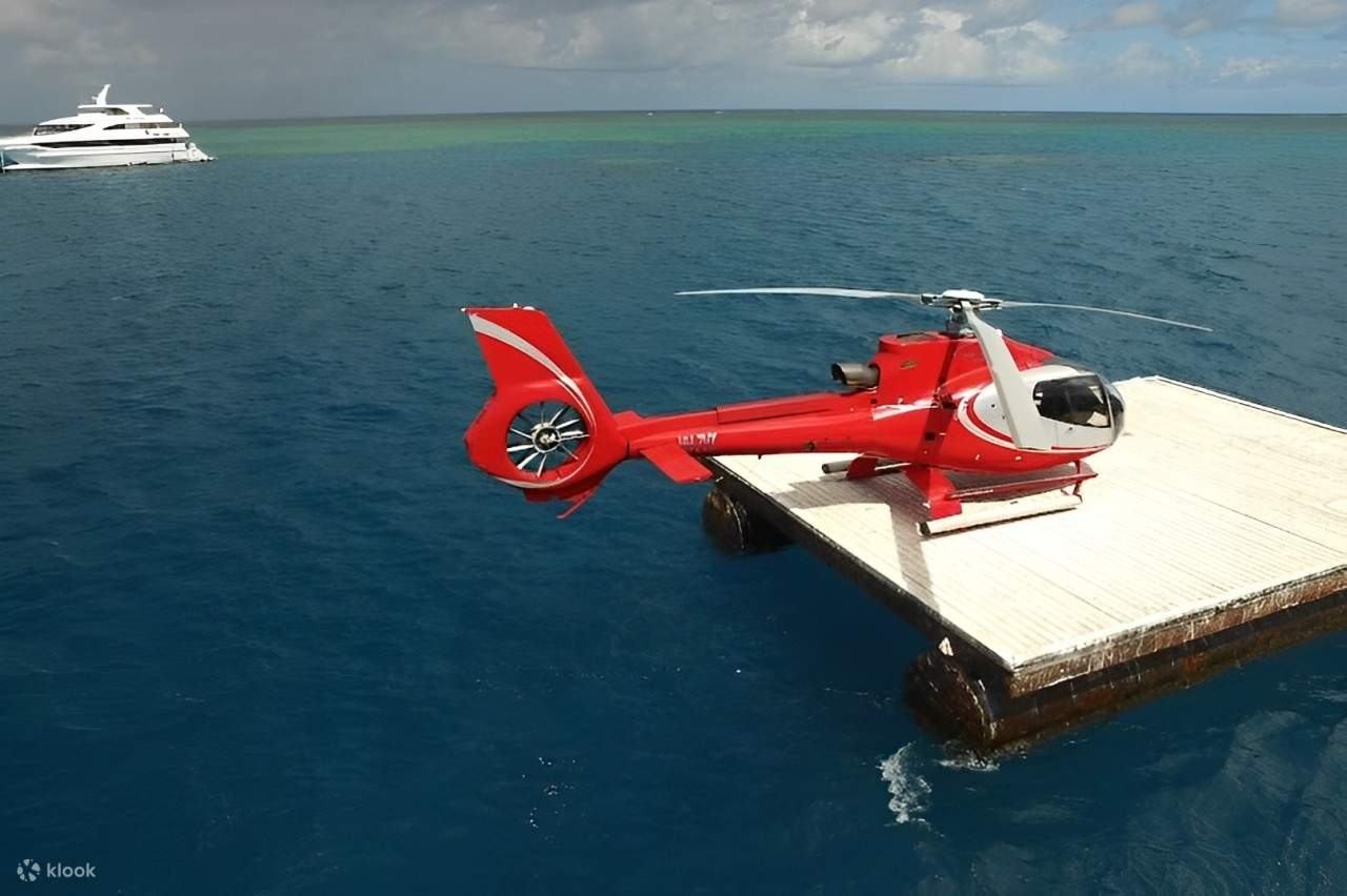 Great Barrier Reef Snorkel, Dive and Helicopter Flight Full Day Tour ...