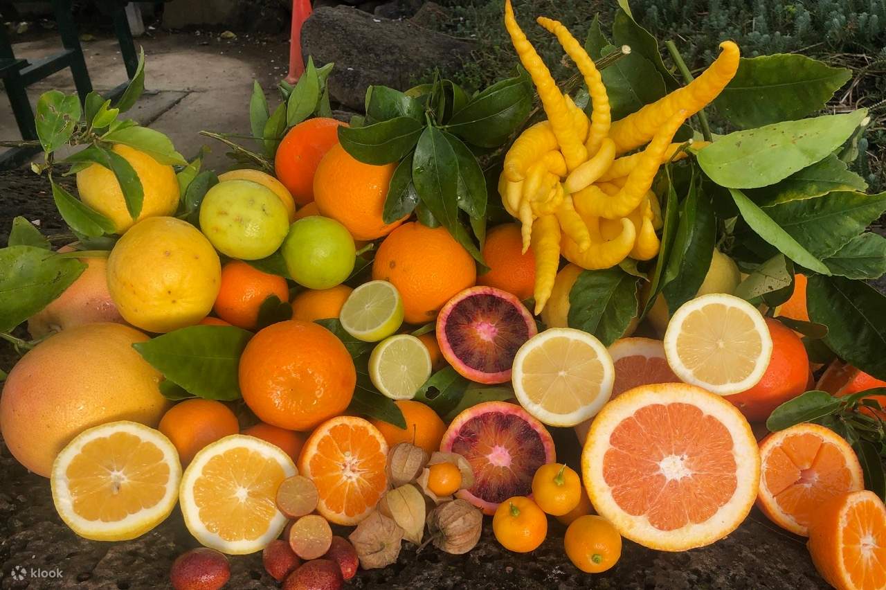 Fruit-Picking and Puffing Billy Steam Train 1-Day Tour - Klook Malaysia