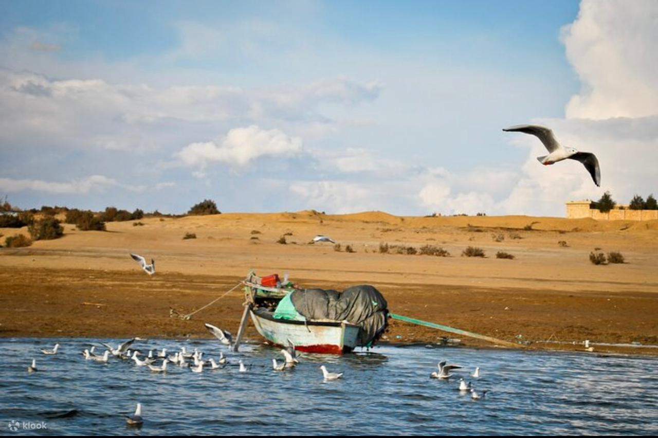 Fayoum Oasis Full day tour - Klook Philippines