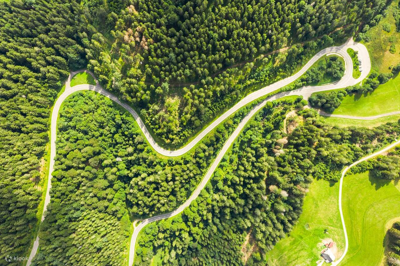 Private Day Tour from Frankfurt to the Black Forest & Baden-Baden ...