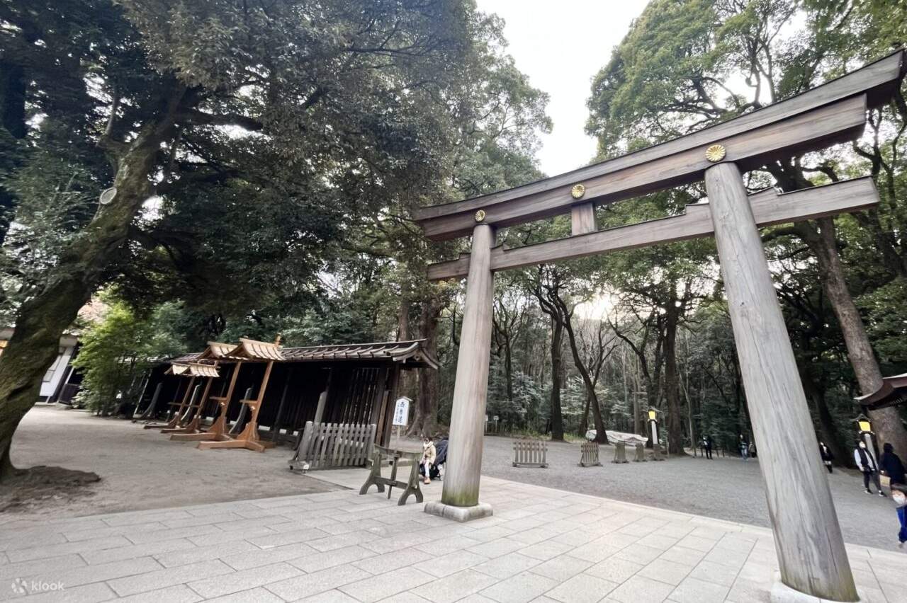 Tokyo City, Shinjuku & Shibuya One Day Walking Tour - Klook