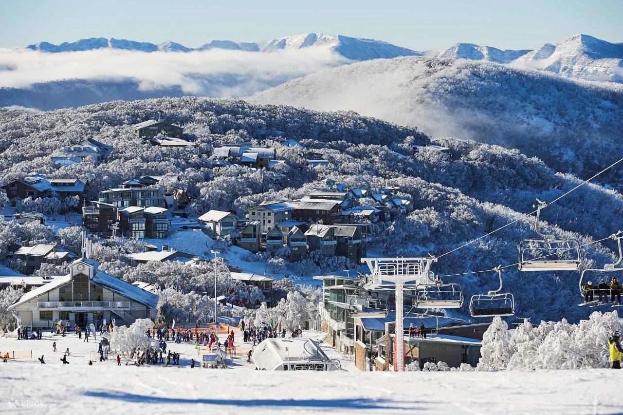 Mount Buller Melbourne Snow Transfer Private Tour - Klook