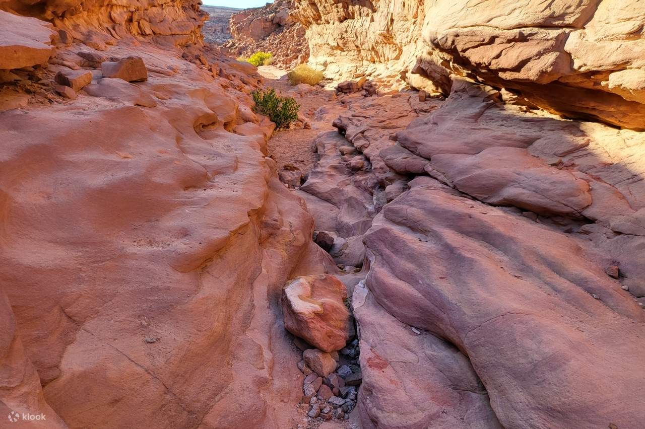 Colored Canyon, Blue Hole and Dahab Tour from Sharm El Sheikh - Klook