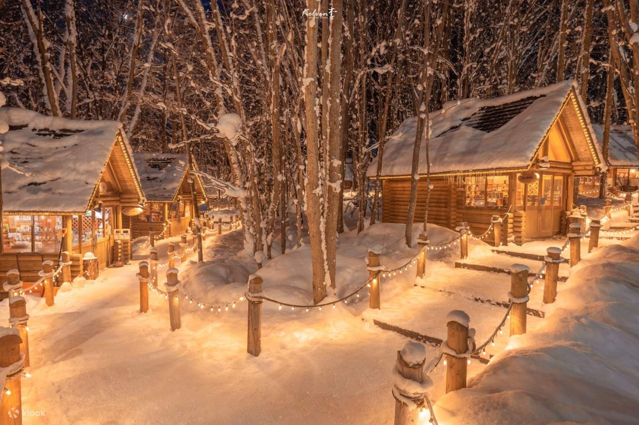 Asahiyama Zoo and Shirogane Blue Pond Day Tour from Sapporo, Hokkaido ...