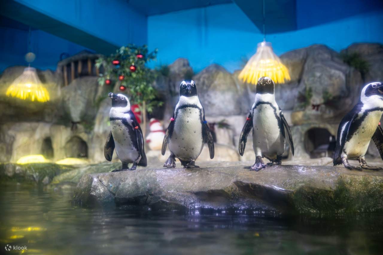 Busan SEA LIFE Aquarium / Brickman Admission Ticket - Klook