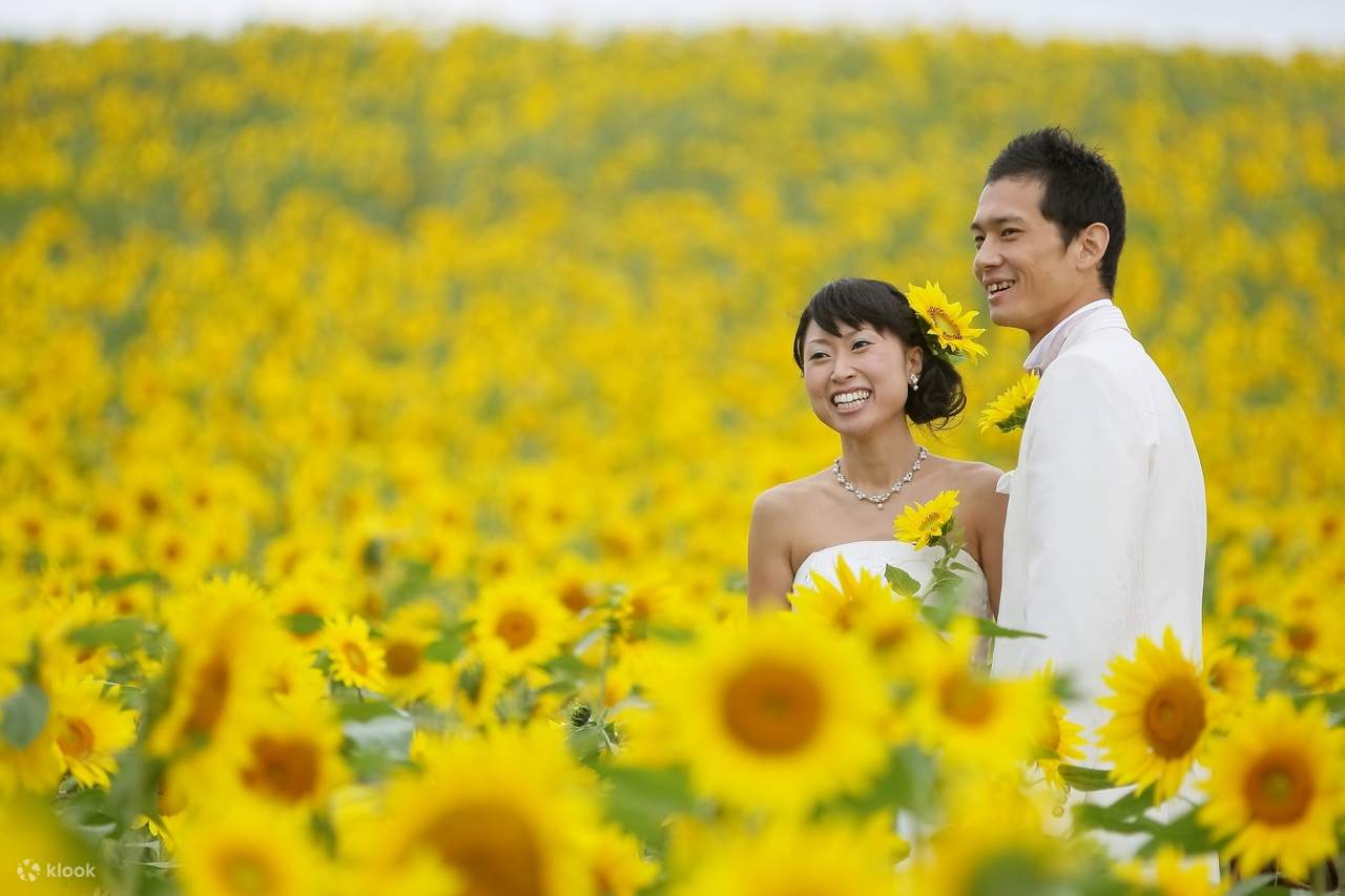 Tomamu Departure | Furano Cheese Factory & Asahiyama Zoo One-dayTour ...