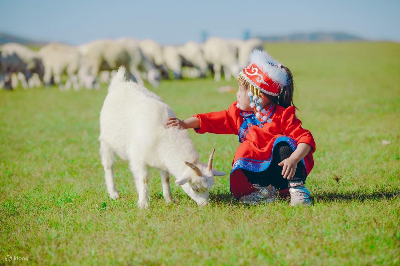 6-Day Tour of Hulun Secret Land in Hulunbuir, Inner Mongolia (Morigele ...