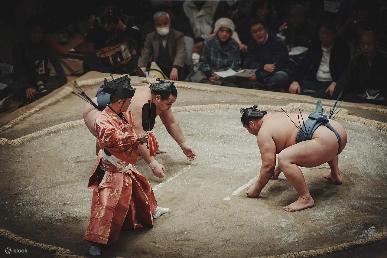 1-Day Grand Sumo Tournament & Sumo Experience Guide Tour in Osaka ...