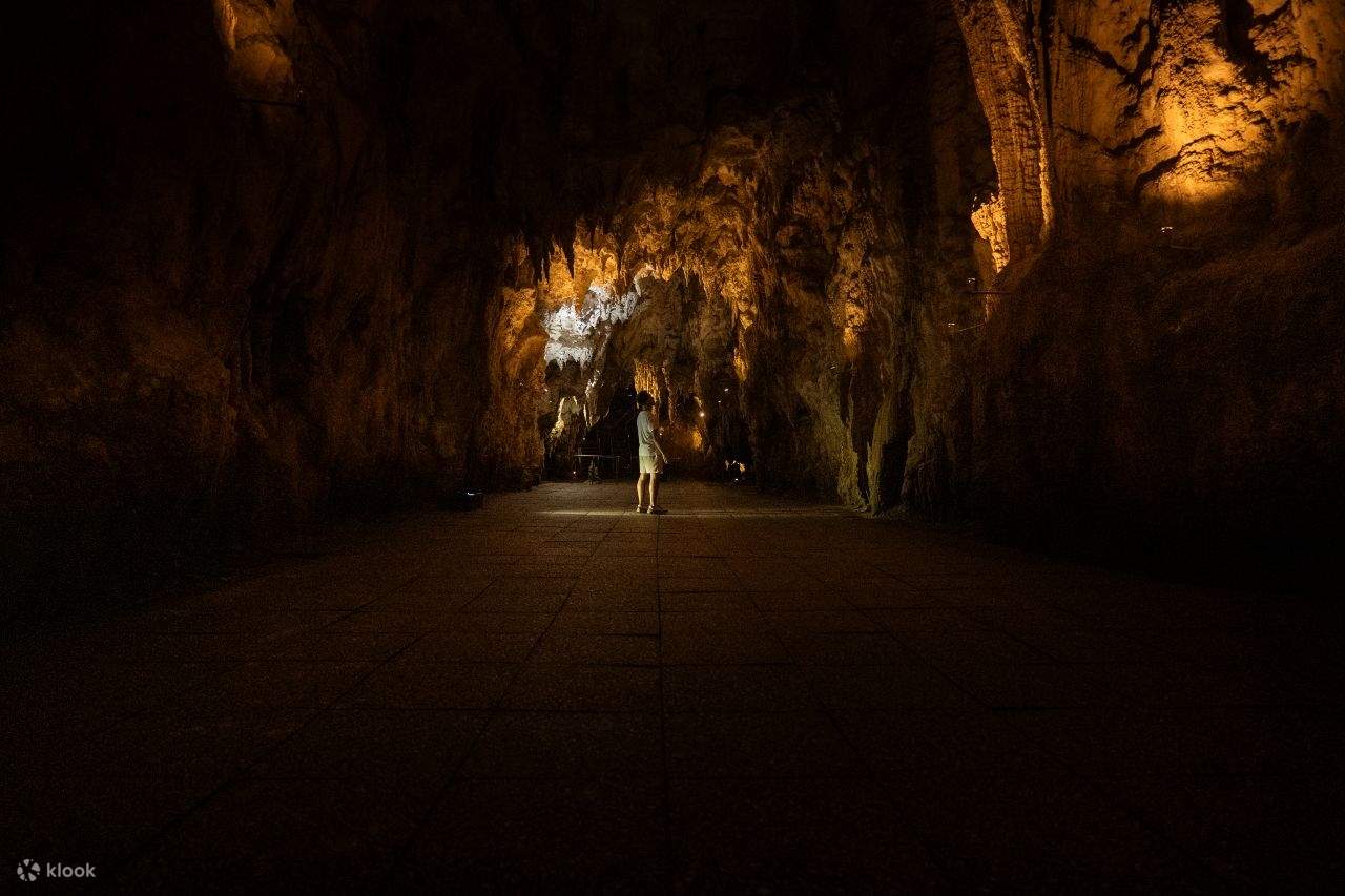 Hobbiton en Waitomo Caves Tour vanuit Auckland - Klook Verenigde Staten