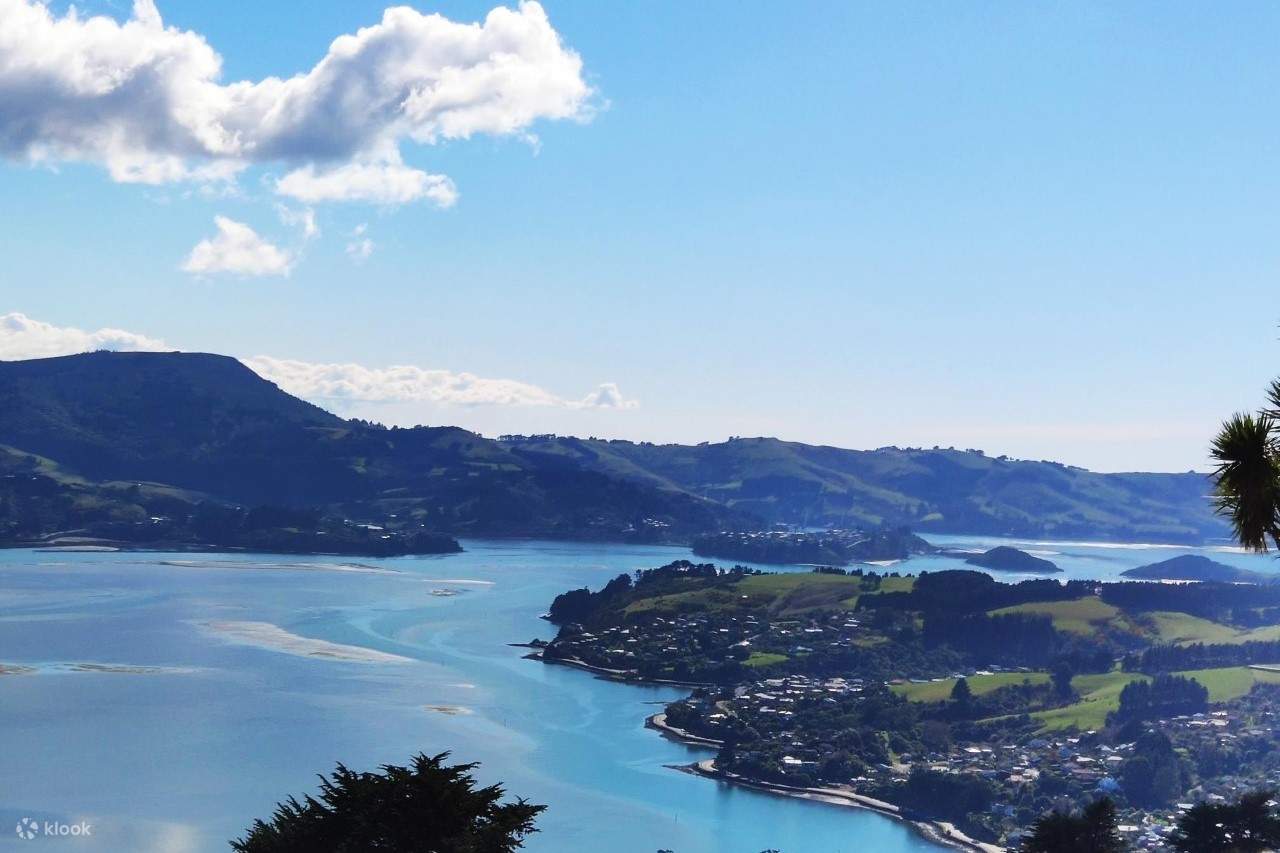 Dunedin Wildlife Mainland Peninsula Tour - Klook United Kingdom