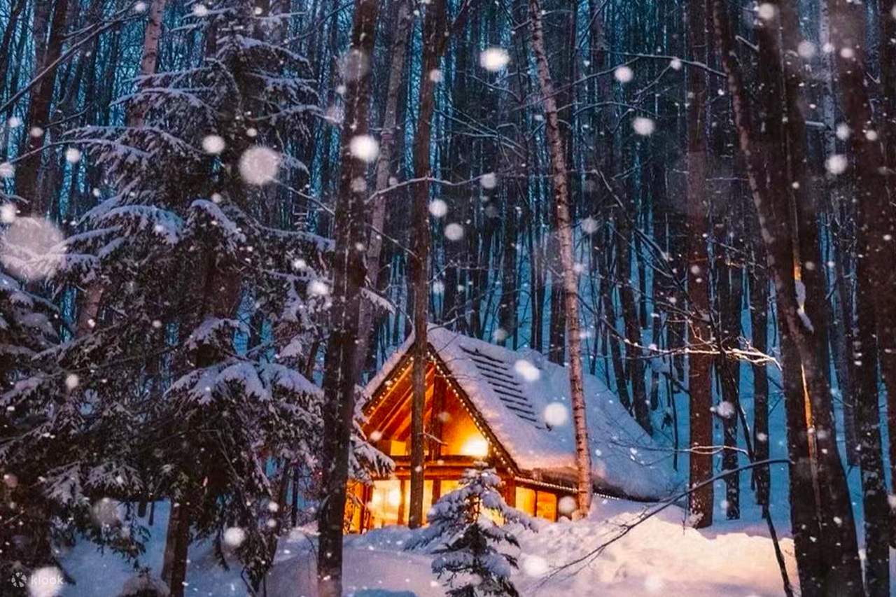 [Hokkaido Summer Hot Spots] Patchwork Road Seven Star Tree & Shikisai ...